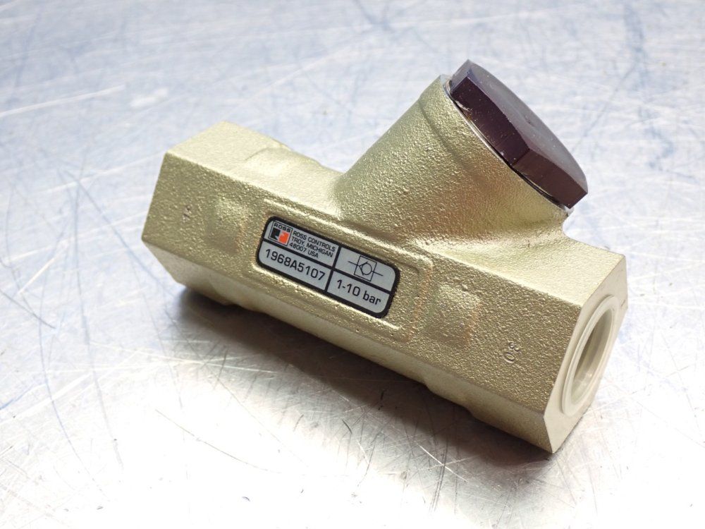 Used Ross 1968a5107 Check Valves | HGR*24