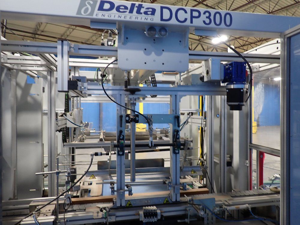 Used Delta 2020 Delta Dcp300 Case Packer | HGR Industrial Surplus